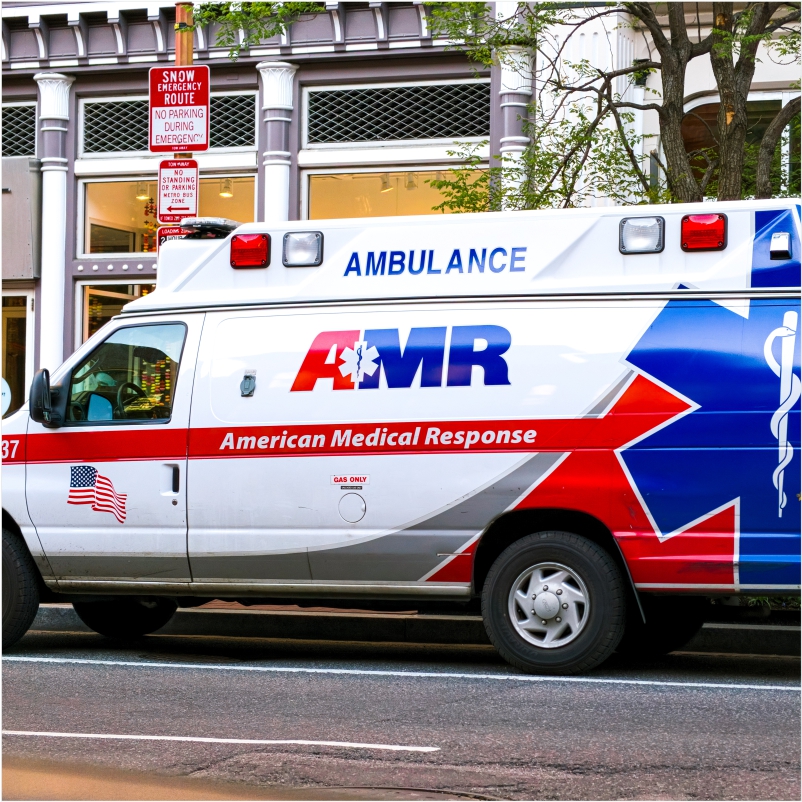 Avery 800 Premium Cast | Lettering and Decorations